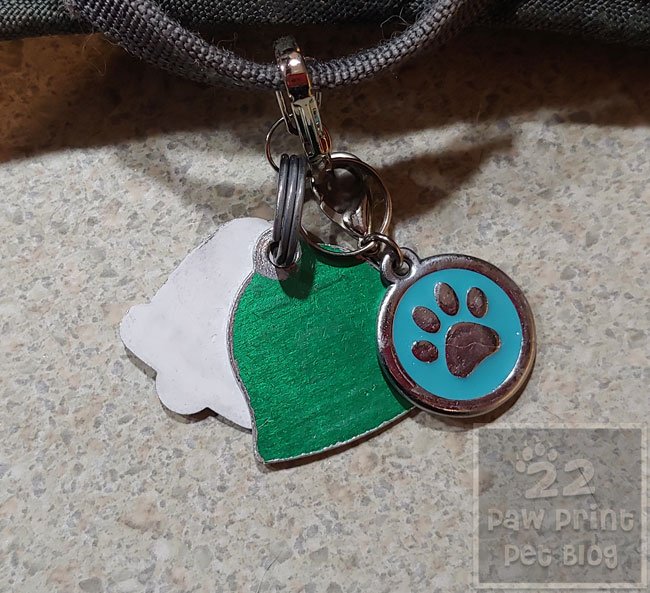 What Are Dog Licenses Actually For And Why Should Pet Owners Keep Them ...