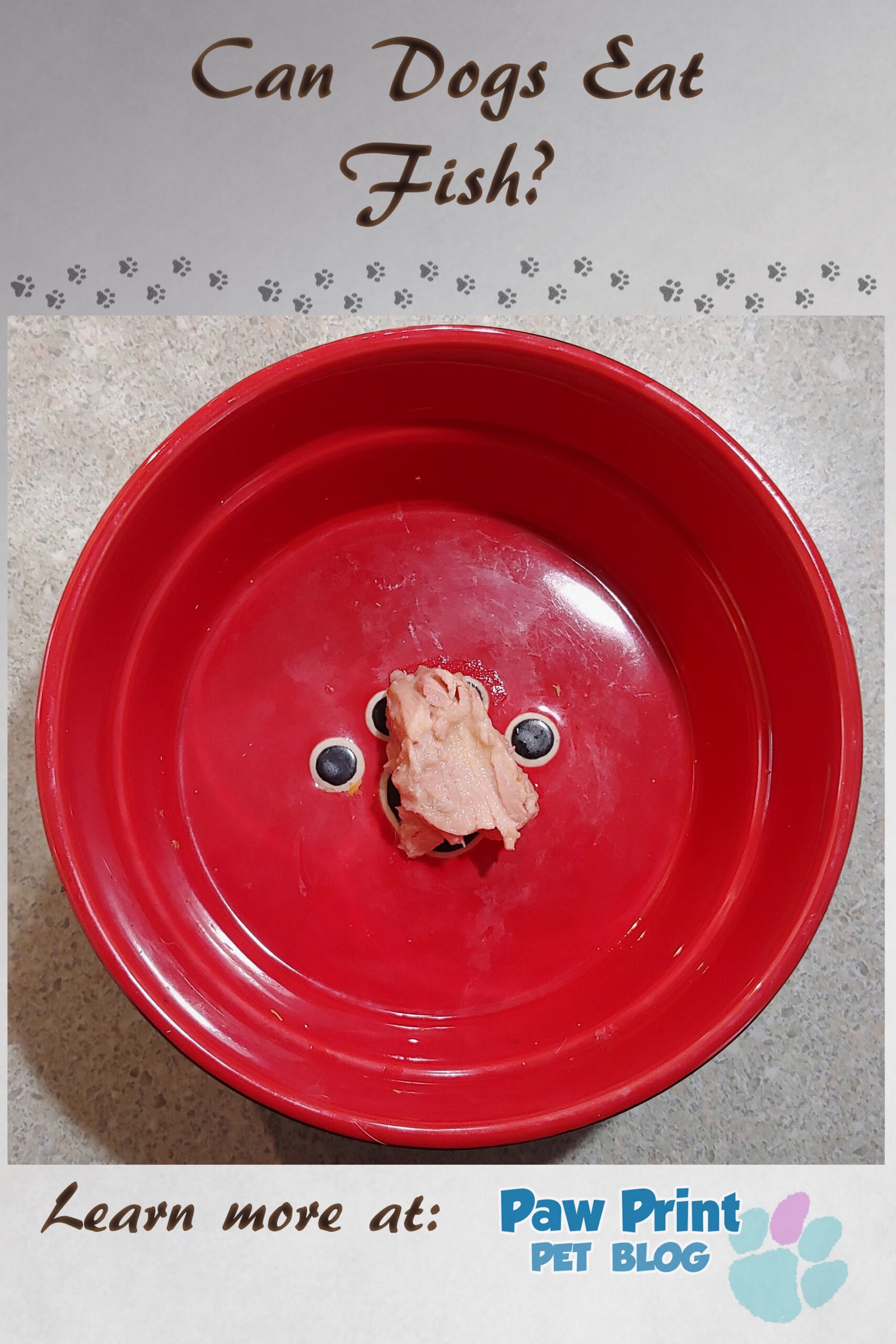 Can Dogs Eat Fish? – Paw Print