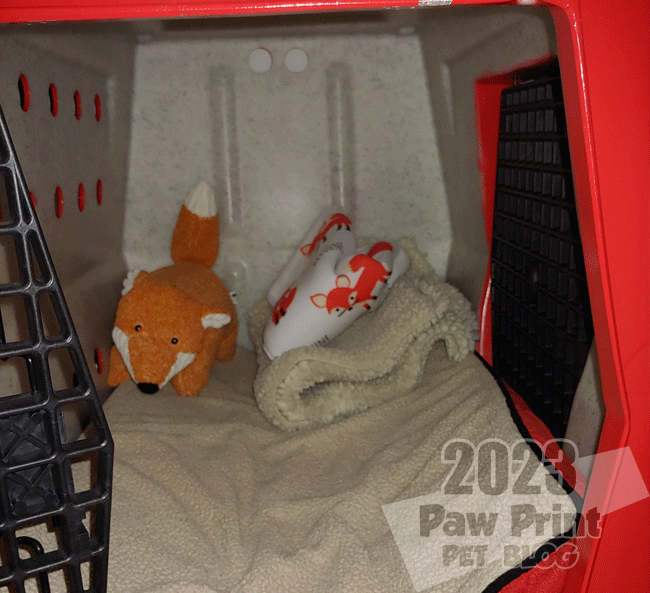 How I Set Up My Dogs' Crates – Paw Print
