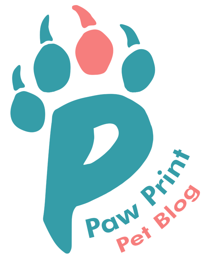 The Story Behind Our Logo – Paw Print